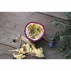 Gaea's Blessing Seeds - Passion Fruit Seeds - Heirloom Non-GMO Seeds with Easy to Follow Instructions - Passiflora edulis 90% Germination Rate