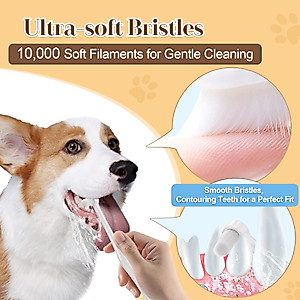 VVHOMIFE Premium Pet Toothbrush Set for Cats and Dogs - Complete Oral Care with Soft Bristles - Ideal for Teeth Cleaning, Dental Hygiene, Plaque Removal - Veterinarian Recommended-White