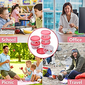 Caylielam 8oz Small Container with Lids, 6 Pack Stackable Food Storage Snack Containers for Kid, Reusable Plastic Lunch Bento Leakproof Sauce Condiment Meal Prep Box, Freezer & Dishwasher Safe, Red