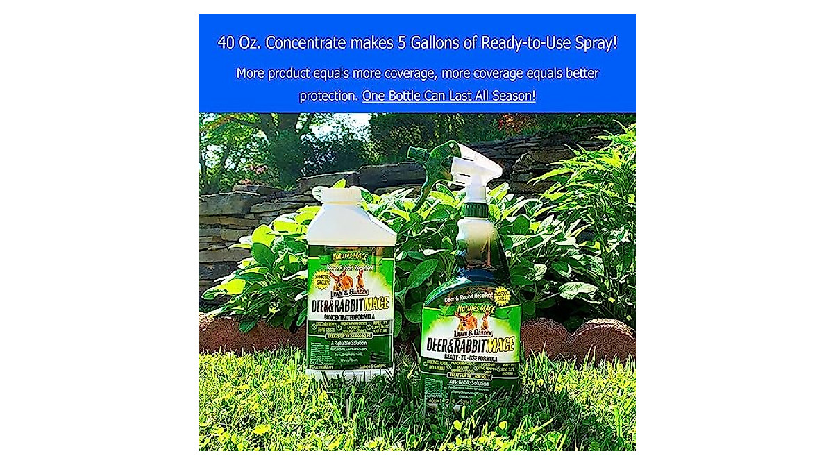 Nature's MACE Deer & Rabbit Repellent Spray 40oz - Family Safe Garden ...