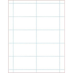 NextDayLabels - 100# Tag Blank 10 Per Page White, Laser/Ink Jet Business Card Stock (500)
