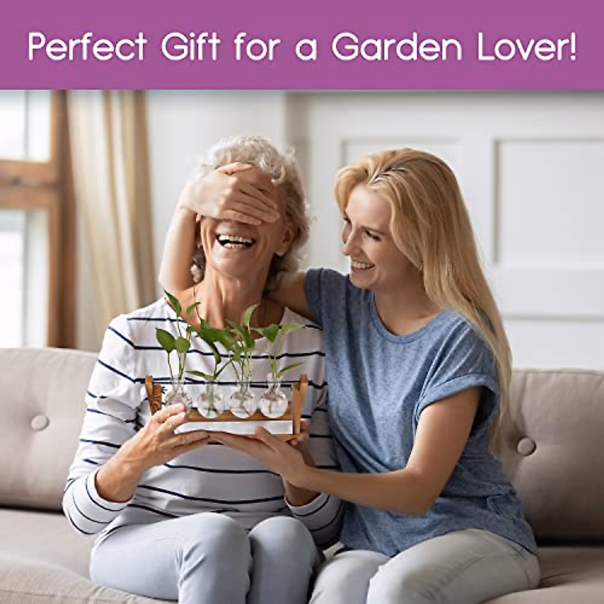 Plant Propagation Station Terrarium with Wooden Stand – Plant Terrarium Stand with 4 Glass Planters for Indoor Plants – Air Plant Holder for House Plants, Home and Office Decor