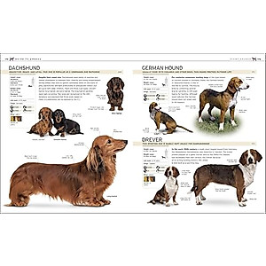 The Complete Dog Breed Book, New Edition (DK Definitive Pet Breed Guides)