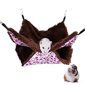 2 PCS 13.7×13.7inch Small Guinea Pig Rat Hammock Guinea Pet Small Animal Hanging Hammock Bunkbed for Sugar Glider Squirrel Playing(Blue and Purple)