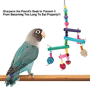 Bird Toys Natural Wooden Parrot Hanging Swing Toy Suitable for Medium and Small Parrots & Birds