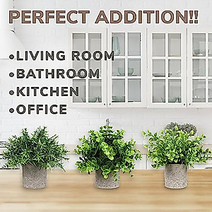 Set of 3 Artificial Plants for Home and Office Decor, Perfect for Kitchen, Living Room, and Bedroom Accents, Low Maintenance Greenery, Vibrant & Realistic Faux Houseplants, Lush and Lifelike Décor.