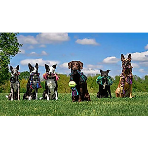 Mammoth Flossy Chews Rope Tug – Premium Cotton-Poly Tug Toy for Dogs – Interactive Rope Toy (Colors May Vary)