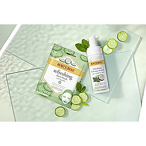 Burt's Bees Refreshing Foaming Cleanser and Natural Face Wash with Cucumber and Mint, 4.8 Fl Oz