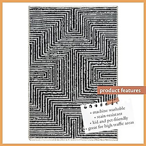 Indigo Ink - Washable Area Rug, Stain Resistant, Easy to Clean, Black/White Geometric Boho Decor, Dorm Room Essentials, for Living Room, Bedroom, Office (2' x 3', Panther Collection)