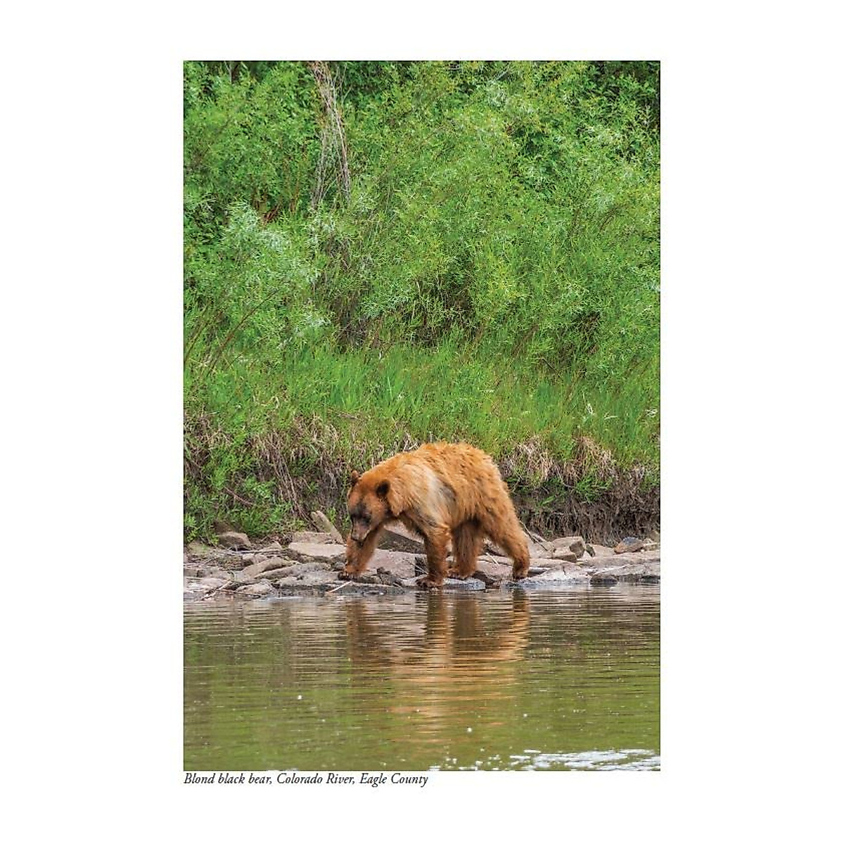 John Fielder's Colorado 2023 Scenic Engagement Calendar