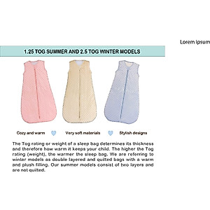 BABYINABAG Warm 2.5 Tog Quilted Winter Model Baby Sleeping Bag and Sack, Plush Minky Dot for Infants and Toddlers (Small (3 - 11 mos))