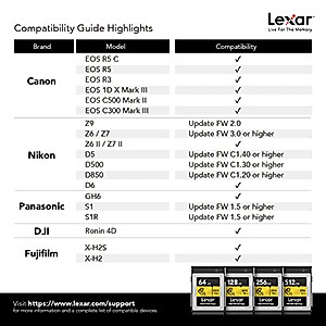 Lexar Professional CFexpress 256GB Type-B Card (LCFX10-256CRBNA)