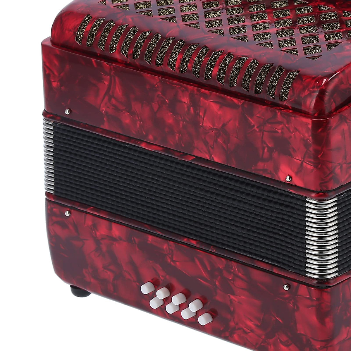 Xiuganpo Kids Accordion, Professional Accordian Keyboard Instruments 22 Key 8 Bass Piano Accordion for Music Lovers Educational Musical Instrument for Students, Beginner Accordion(#1)