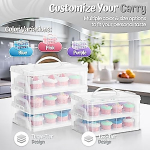 Flexzion Cupcake Carrier, Cupcake Holder for 24 Cupcakes, Portable and Reusable Rectangular Cake Carrier with Lid and Handle, 2 Tier Stackable Layer Insert (Clear)