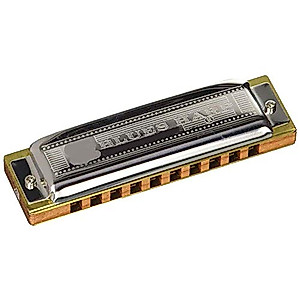 WAAZVXS Blues Harp 532/20 Diatonic Harmonica 10 Holes 20 Tone Mouth Organ Key C Musical Instruments (Color : Key A)