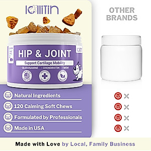 Dog Hip and Joint Supplement - Made in USA Dog Joint Supplement for Mobility Issues - Relief with Glucosamine for Dogs, MSM - 120 Count, Bacon Flavor - All Natural Dog Joint and Hip Supplement