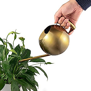 IMEEA Watering Can for Indoor Plants 45oz/1.3L Stainless Steel Small Indoor Watering Can House Plants (Bronze Color)