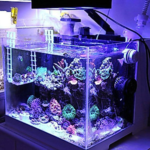 hipargero Aquarium Light –3rd Generation A029 Aquarium LED Light 30 Watts Saltwater Light with Touch Control, 5W LED Chips for Coral Reef Nano Fish Tank Marine Tanks with Timer & Screen