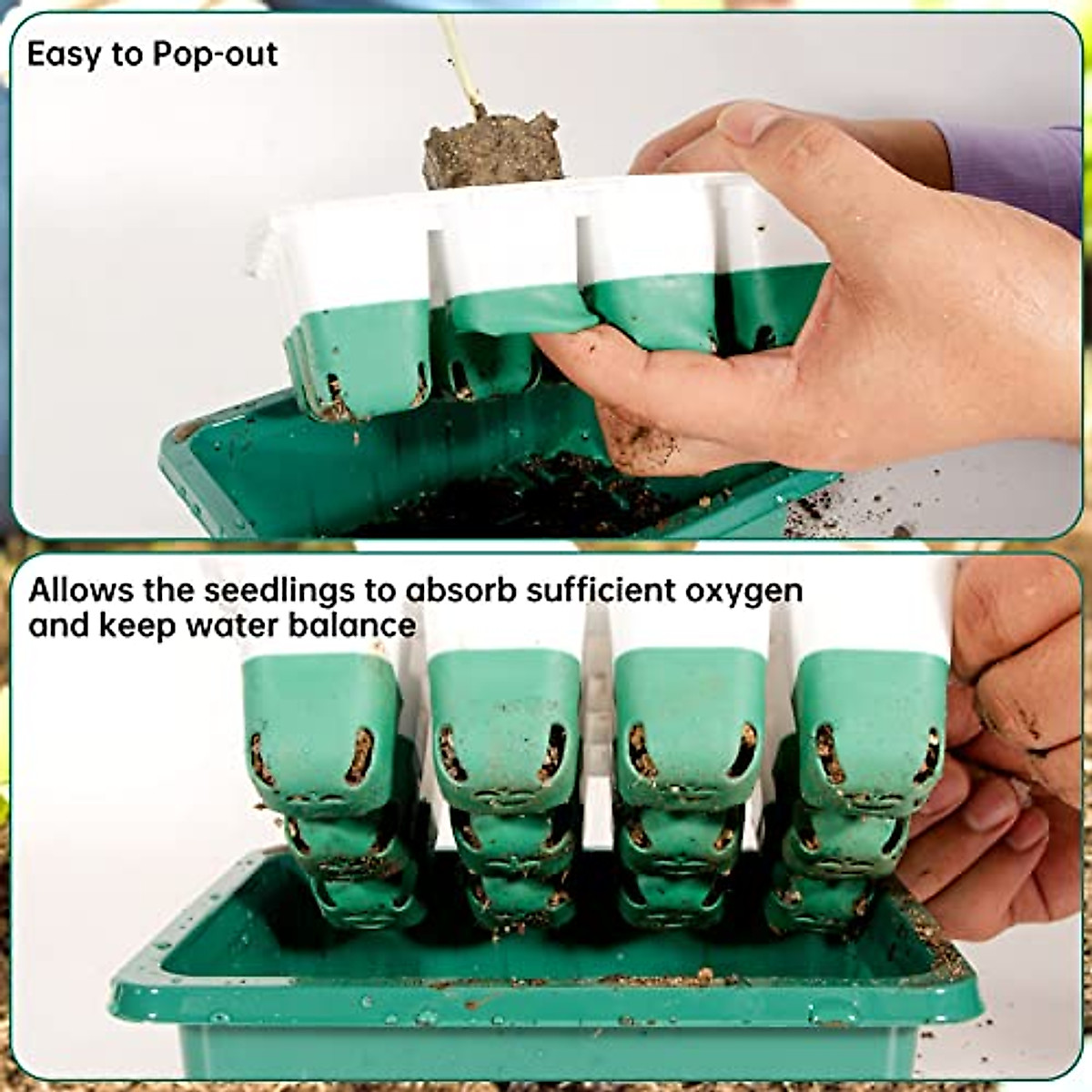 ZYP 【2023 Upgraded】 3 PCS Reusable Seed Starter Trays Kit,Soft Silicone Garden Seedling Starter Trays with Humidity Dome,Indoor Grow Kit for Plant,Flowers,Vegetables (12 Cells per Tray)