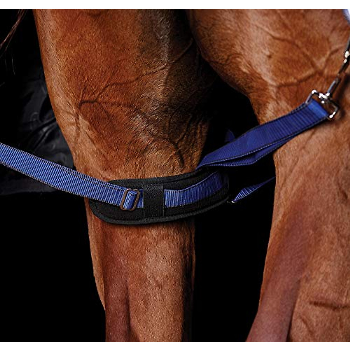 WeatherBeeta Padded Leg Straps