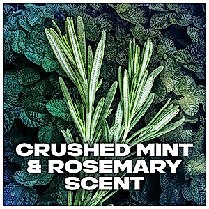 AXE Body Spray Deodorant Phoenix for Long Lasting Odor Protection Deodorant for Men Formulated Without Aluminum 4.0 oz