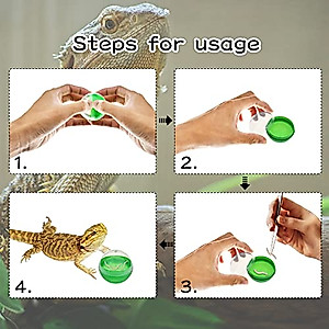 CooShou 6Pcs Lizard Bearded Dragon Feeding Toys Ball Reptile Food Toys Ball Lizard Interactive Toys for Bearded Dragon, Lizard, Gecko and Small Animals