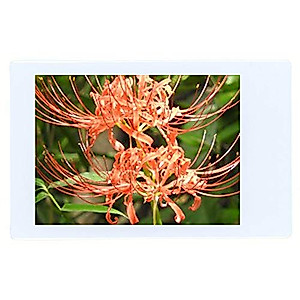 Fujifilm Instax Mini Instant Film, 10 Sheets of 5 Pack × 2 (100 Sheets)