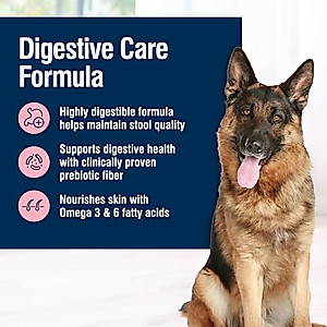 Blue Buffalo True Solutions Blissful Belly Wet Dog Food, Digestive Care Formula, Helps Maintain Stool Quality, 12.5-oz. Cans (12 Count)