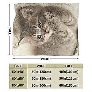 Cute Cat Blanket Plush Warm Throw Blanket Soft Comfort for Sofa Chair Bed Office Travelling Camping 50"x60"