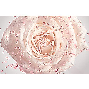 DIOR PRESTIGE LA MICRO-HUILE DE ROSE 30 ML.