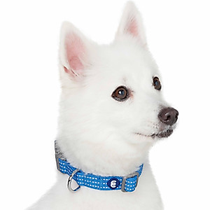 Blueberry Pet Essentials Reflective Better Basics Matching Dog Collar Leash Harness Set in French Blue, Adjustable Collar with Harness & 5 ft Leash for Medium Dogs