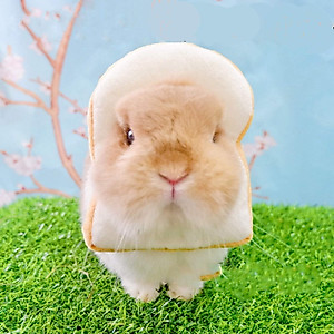 Rabbit Collar Bread Slice Collar Toast Bread-Shaped Rabbit Headdress, Pet Halloween Gift Cosplay Makeup Cap, Bunny Cartoon Costume, Dressing Up Props, Small Animal Headgear (8''- 9'' head girth)
