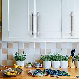 Asidrama 10 Pack 5 Inch(128mm) Brushed Satin Nickel Kitchen Cabinet Pulls, Cabinet Pulls Kitchen Cabinet Hardware for Cupboard Drawer Pulls