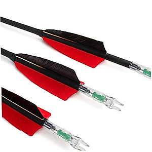 KUYYFDS LED Arrow Nocks Plastic Luminous Archery Lighted Nocks Light Up Arrow Bow Tail 12PCS Random Color Nocks