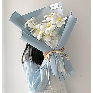 BBJ WRAPS Korean Style Waterproof Floral Wrapping Paper Single Color Bouquet Wrapping Paper Roll for Flowers, 22.8 Inch x 8 Yard, 1 Roll (Beige White)