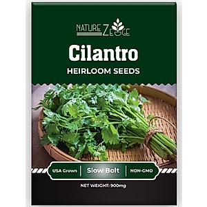 5 Herb Seeds Variety Kit, Oregano, Cilantro, Parsley, Basil, Chives