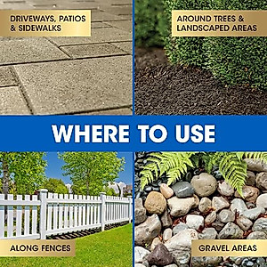 Roundup Dual Action Weed & Grass Killer Plus 4 Month Preventer with Sure Shot Wand, 1 gal.