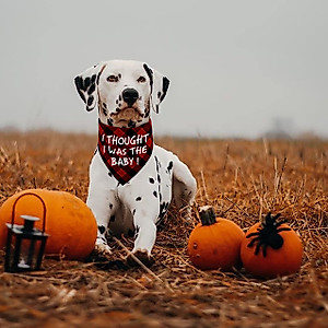 Family Kitchen I Thought I was The Baby Pregnancy Announcement Triangle Red Plaid Pet Dog Bandana, Gender Reveal Photo Prop Pet Scarf for Pet Birthday Gift