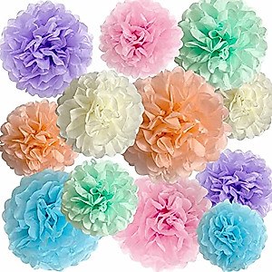ANSOMO Pastel Tissue Paper Pom Poms Party Decorations Rainbow Ice Cream Easter Flowers Wall Hanging Décor Supplies Birthday Bridal Baby Shower Colorful Pink Purple Peach Mint Green Blue Ivory