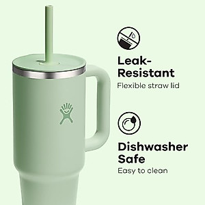 Hydro Flask 40 Oz Travel Tumbler Aloe