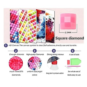 Diamond Painting lady Butterfly Diamond Art 5D Diamond Painting Kits for Adults DIY Paint by Numbers, Big Diamond Paintings diamond dot Gem Art Crafts for Wall Art Home Decor Gifts (24x48 Inch), c306