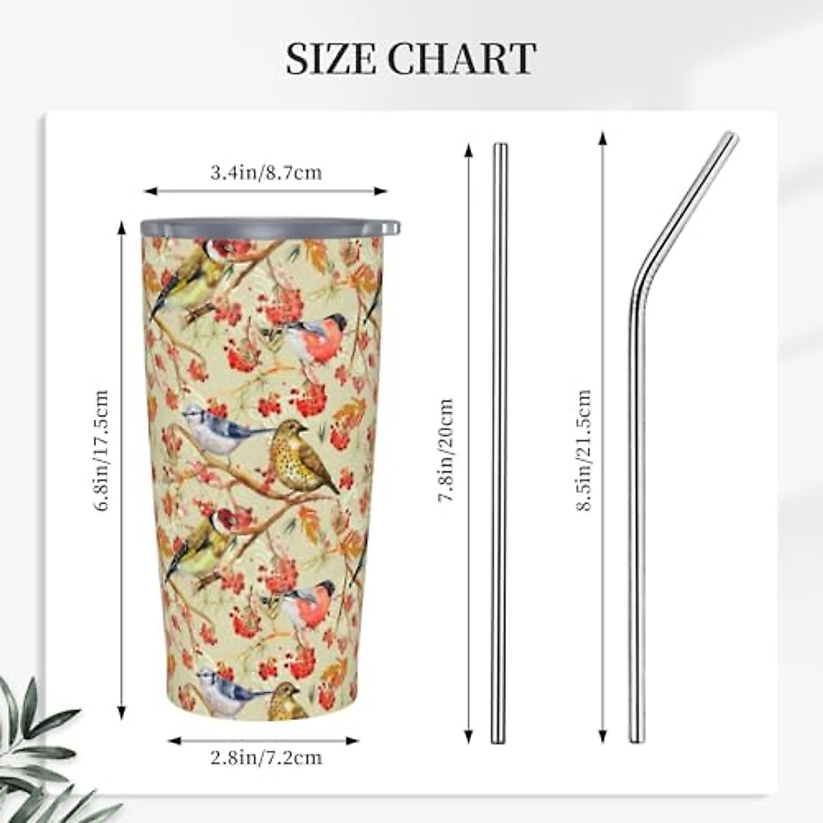 20oz Tumbler Watercolor Cute Birds Double Wall Vacuum Insulated Coffee Mug with Lid and Metal Straw Brush Reusable Stainless Steel Water Bottle Travel Cup Gifts for Car Ice Drinks Hot Beverage