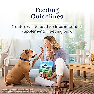 Blue Buffalo Nudges Jerky Chews Natural Dog Treats
