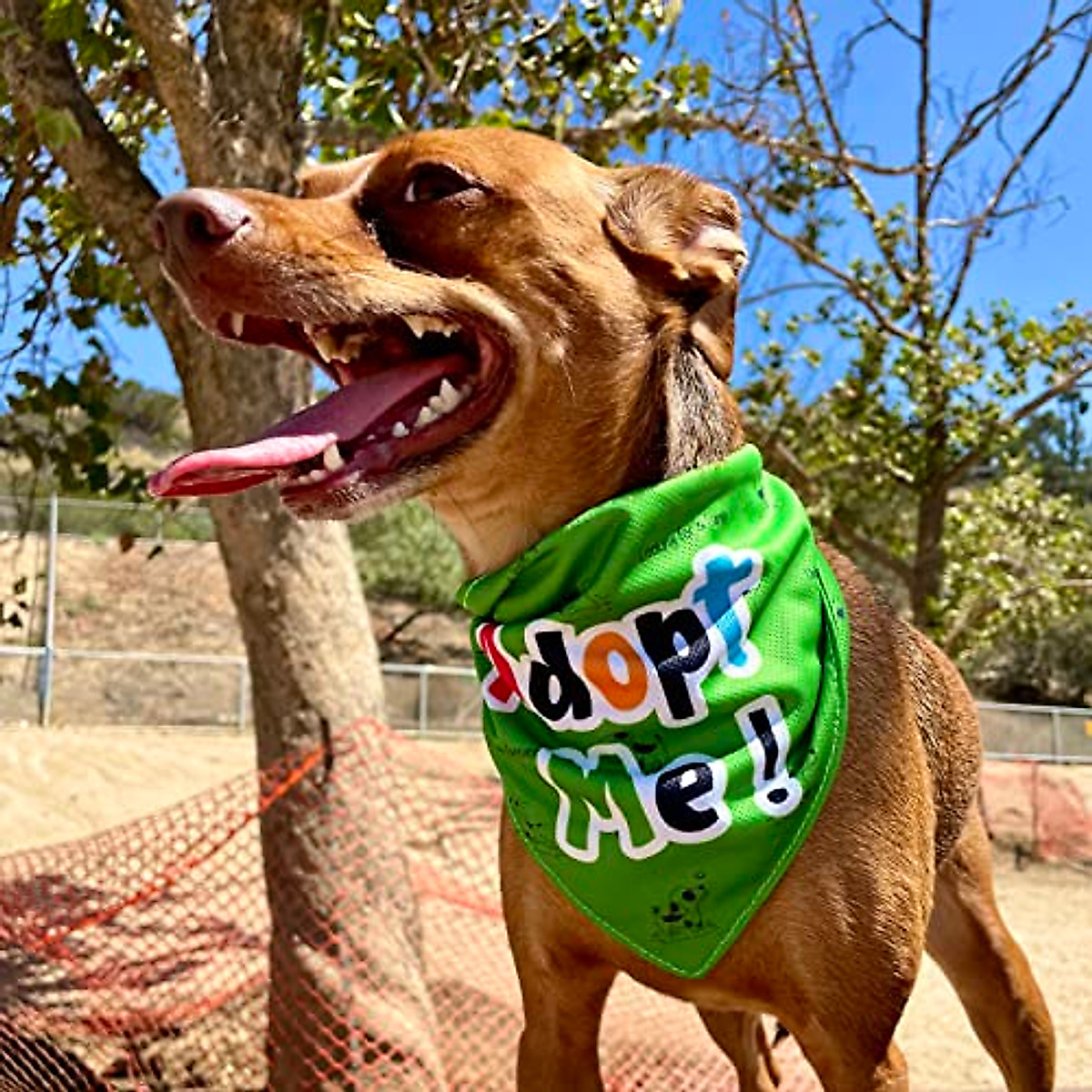 Giving Paws - Adopt Me Dog Bandana - Puppy Bandanas with Sweet Sayings and Eye-Catching Solid Colors - Giving Back to Pets in Need - Green Bandanas for Dogs - Large/X-Large