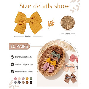 Jollybows 20pcs Baby Hair Clips Girls Bows 2" Mini Alligator Clip Toddler Pigtail Bow Fine Hair Clip