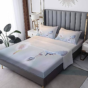 Butterfly Sheets Full Size, Dandelion Plant Bed Sheets, Patterned Bedding Sheets & Pillowcases 4 Piece Set - Soft Microfiber Deep Pocket Fitted Sheet & Flat Sheet & 2 Pillow Cases K6-&-126