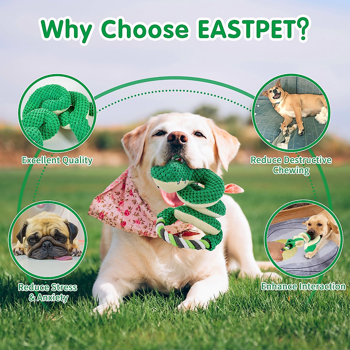 EASTPET Squeaky Dog Toys with Pull Rope,Large Dog Tug of War Toy,Medium/Large Breed,Toys for Dental Health