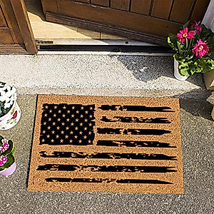 Indoor Front Door Mat Party In The Usa Coir Print Decoration Patriotic Mats for Outside Entry Welcome Independence Day 4Th of July Memorial Flag Hello,Summer Soft Oh My Stars Cute Absorbent Attractive