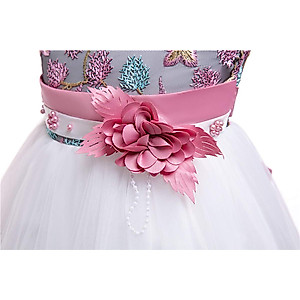 NSSMWTTC Flower Girls Dresses Frocks Child Easter Pageant Party Baby Toddler Easter A Line Dress 9M 12 Months (Pink,12M)
