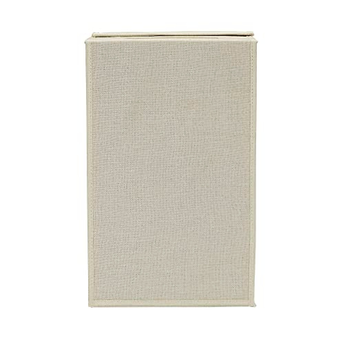 Household Essentials Large Drop Front Shoe Box 2 Pack, Beige